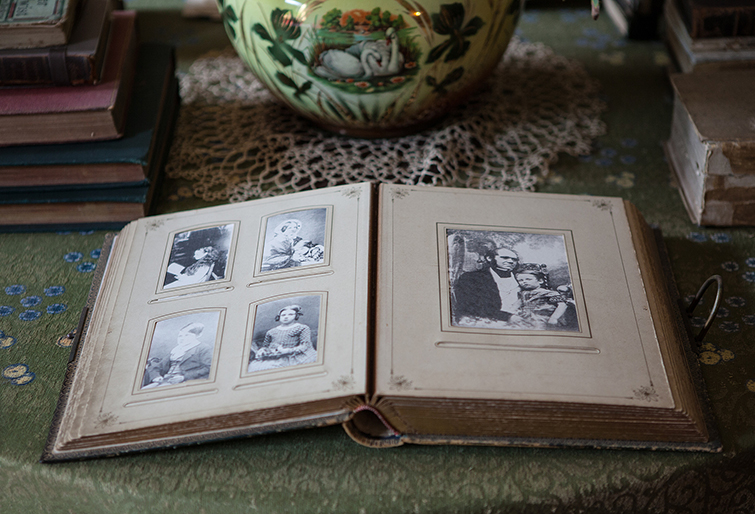 Interior Design Inspiration from Charles Darwin’s study | English Heritage