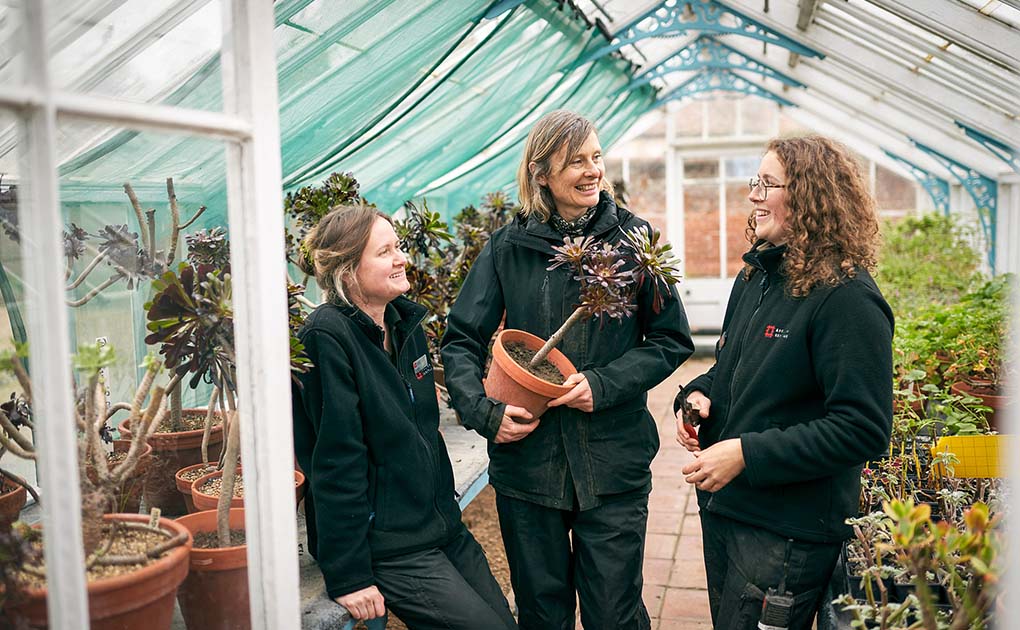 Historic & Botanic Garden Training Programme (HBGTP) | English Heritage