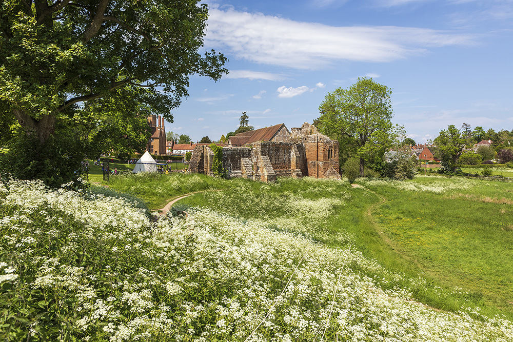 100 meadows across 100 historic sites over the next decade – English ...