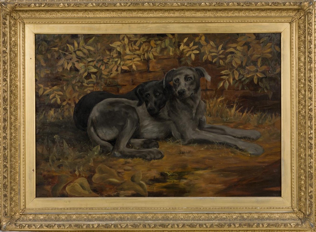 From Hounds to House Pets: A History of Dogs in England | English Heritage