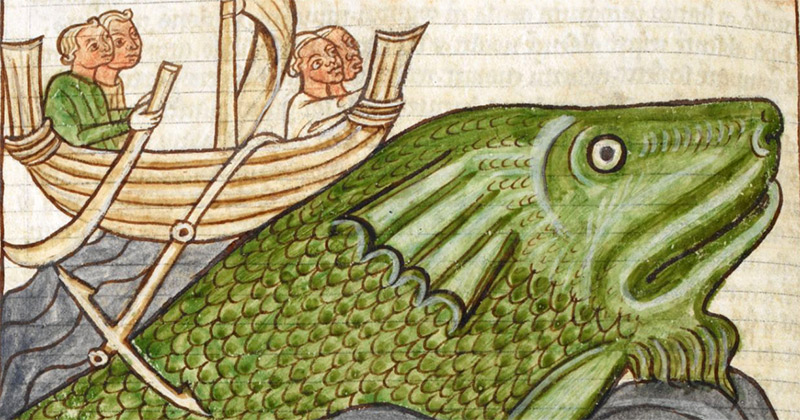 The Launceston Castle Whale | English Heritage