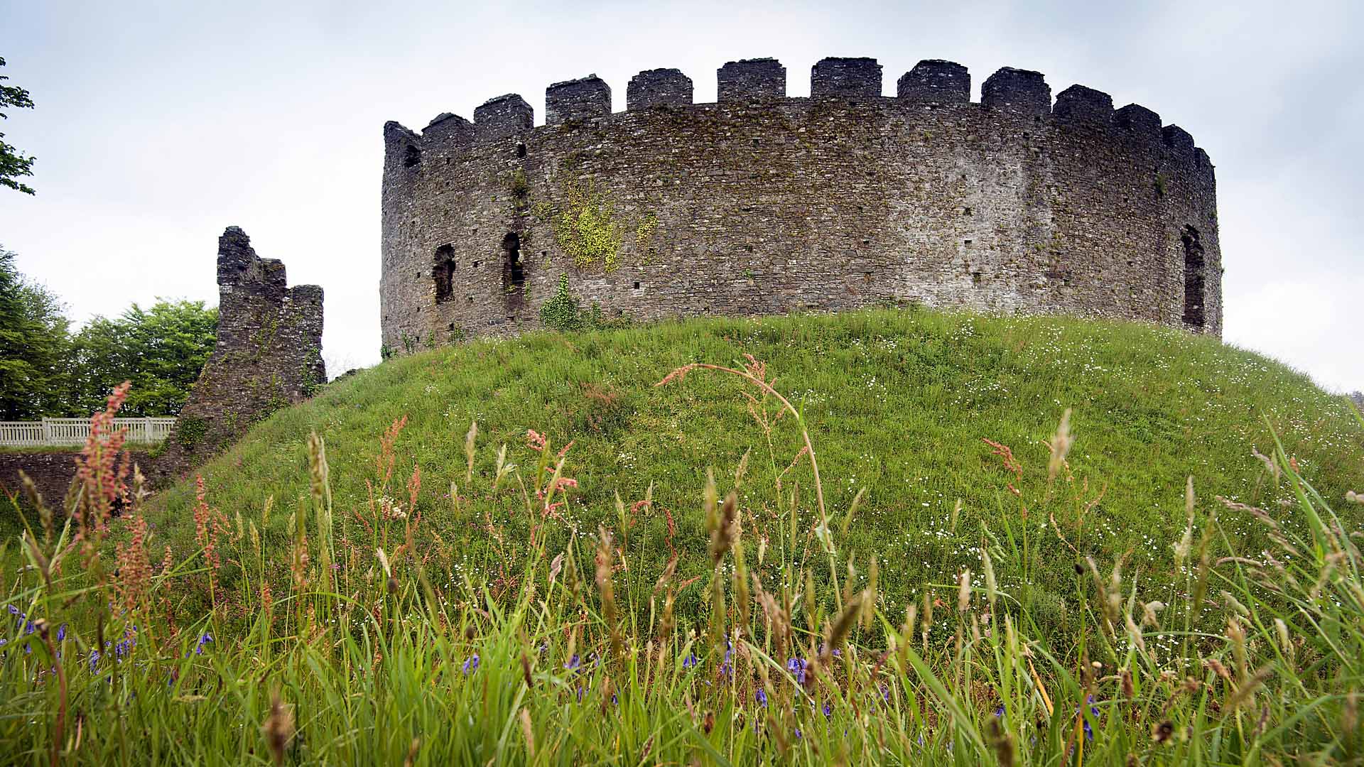 Visit Restormel Castle | English Heritage