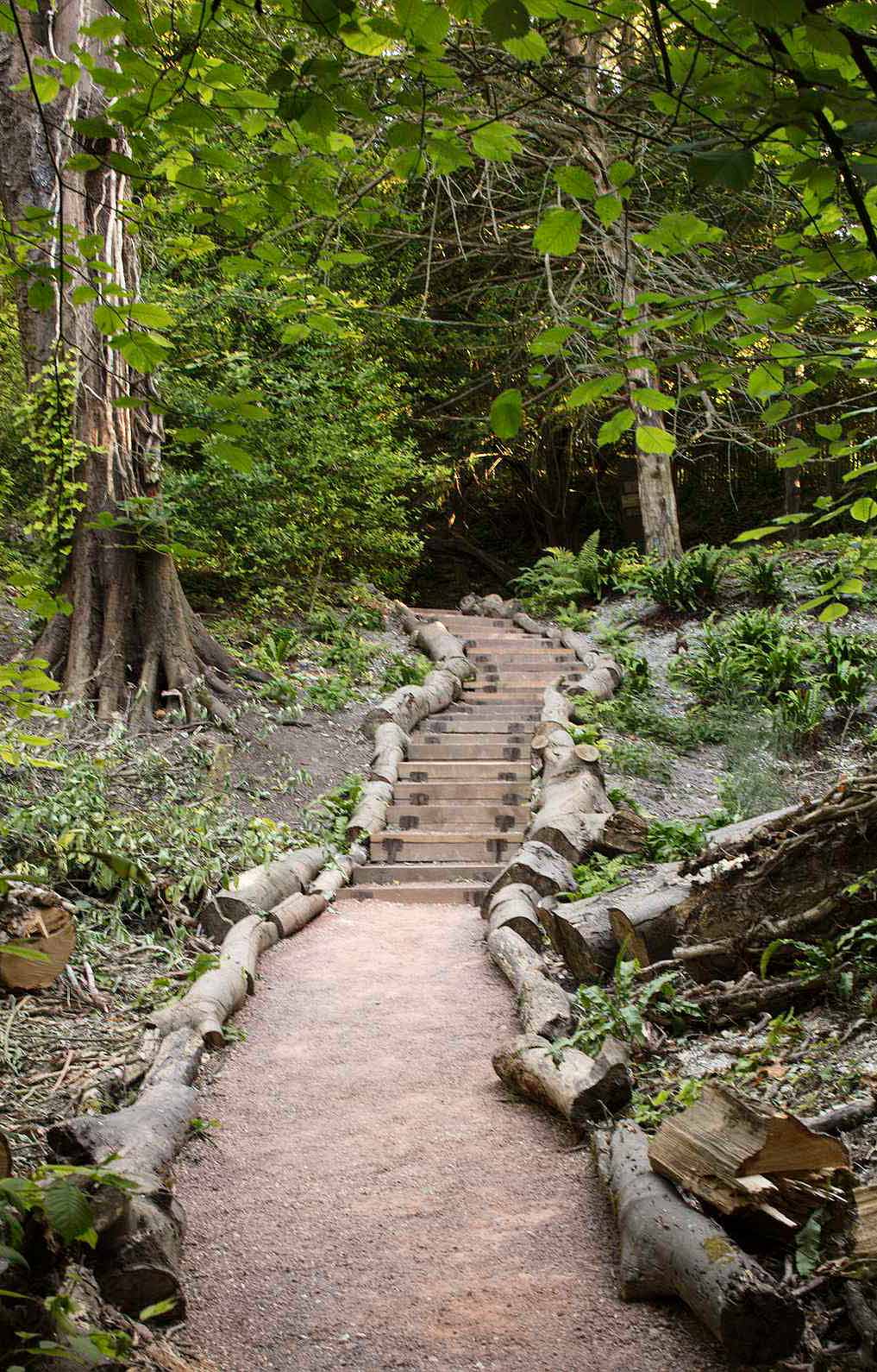 Lady Hester Stanhope | English Heritage